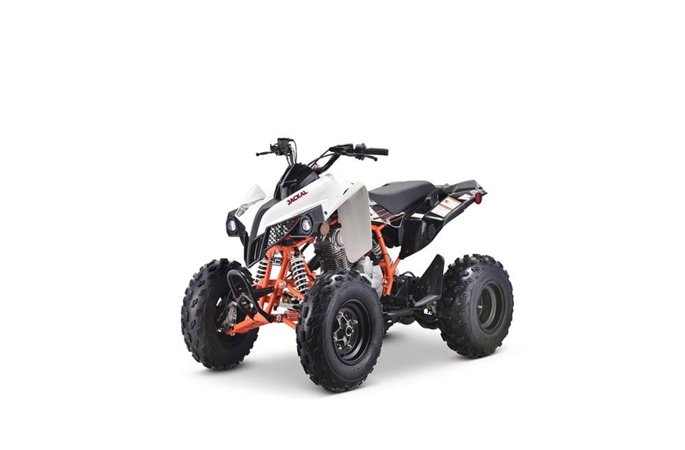 2022 Kayo Jackal 200 for sale in Fort Collins, CO. Front Range ...