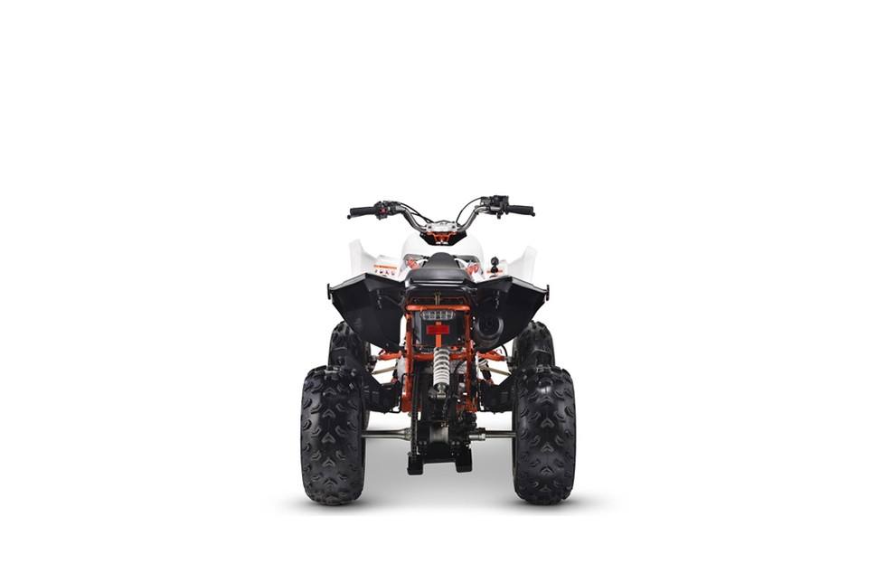2022 Kayo Jackal 200 for sale in Fort Collins, CO. Front Range ...