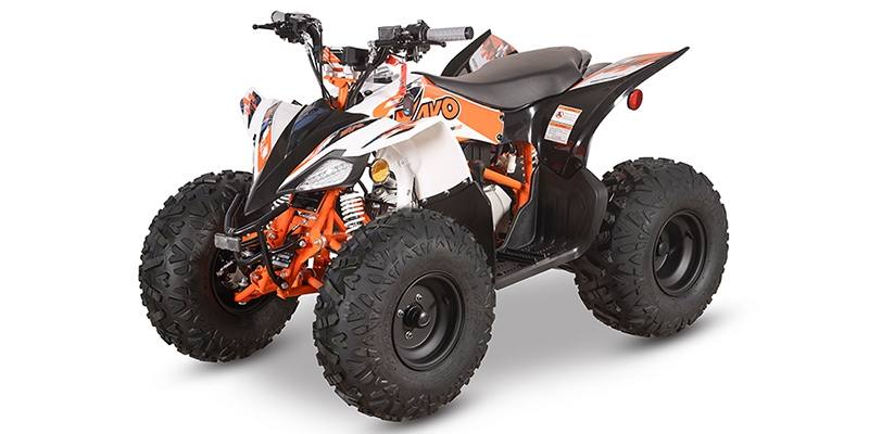 2026 Inventory from Kayo Epic Motorsports, Cottonwood AZ Cottonwood, AZ ...