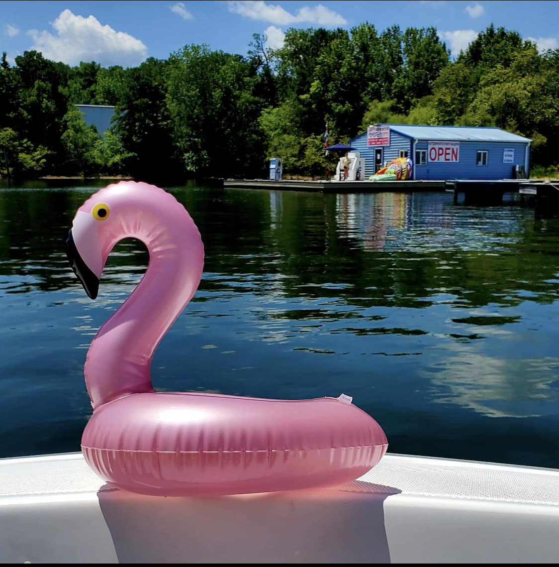 Lake Life Satterwhite Point Marina & Rudd's Creek Marina