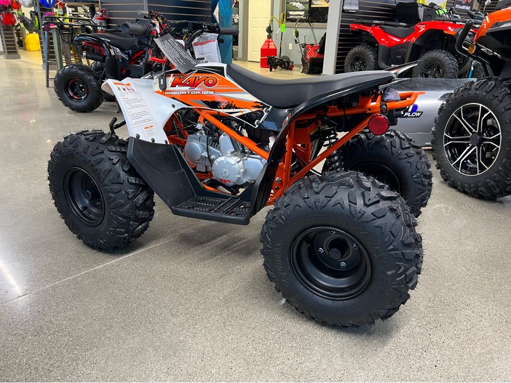 Top ATVs For Sale in Walker, MN | Loney Sales & Service