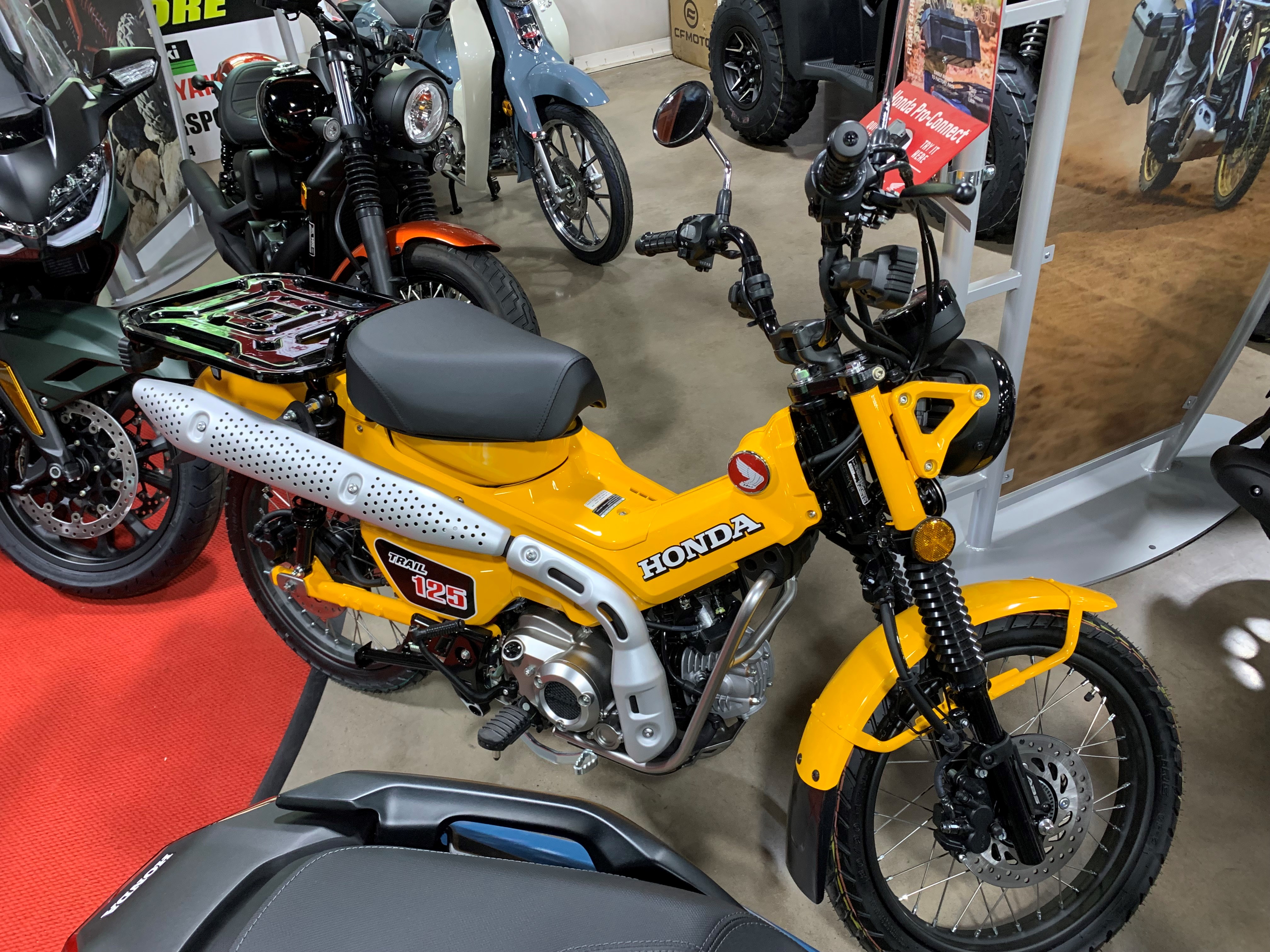 2024, 2025 and 2026 Inventory Delmarva Power Sports LLC Salisbury, MD ...