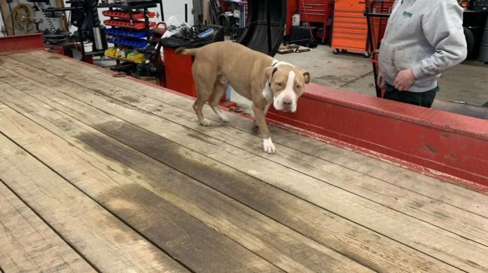 Services Dave Muller Automotive & Trailer Ewing, NJ 609-454-8600