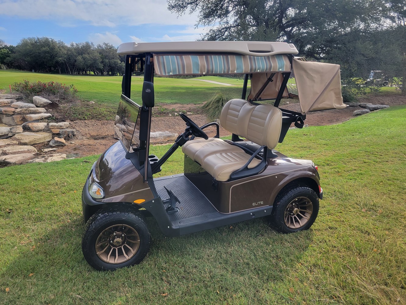 Used Golf Carts Near Georgetown De at Susan Tucker blog
