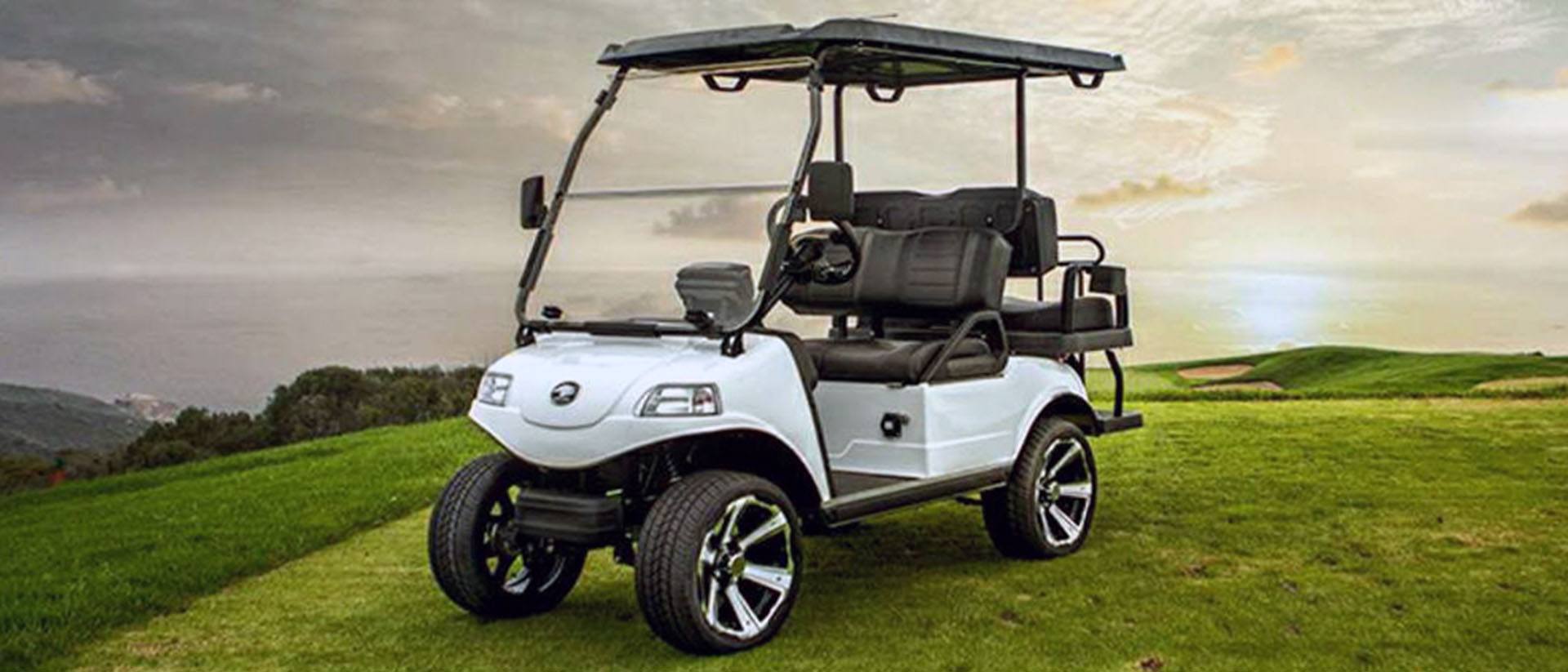 New 2025 Golf Carts North Atlanta Golf Carts