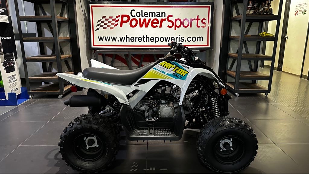 ATV Coleman PowerSports