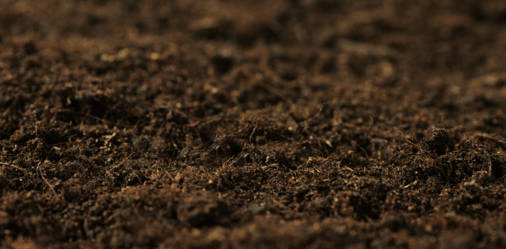 Stone, Rocks, Topsoil, Sand, Mulch At Tri City Outdoor