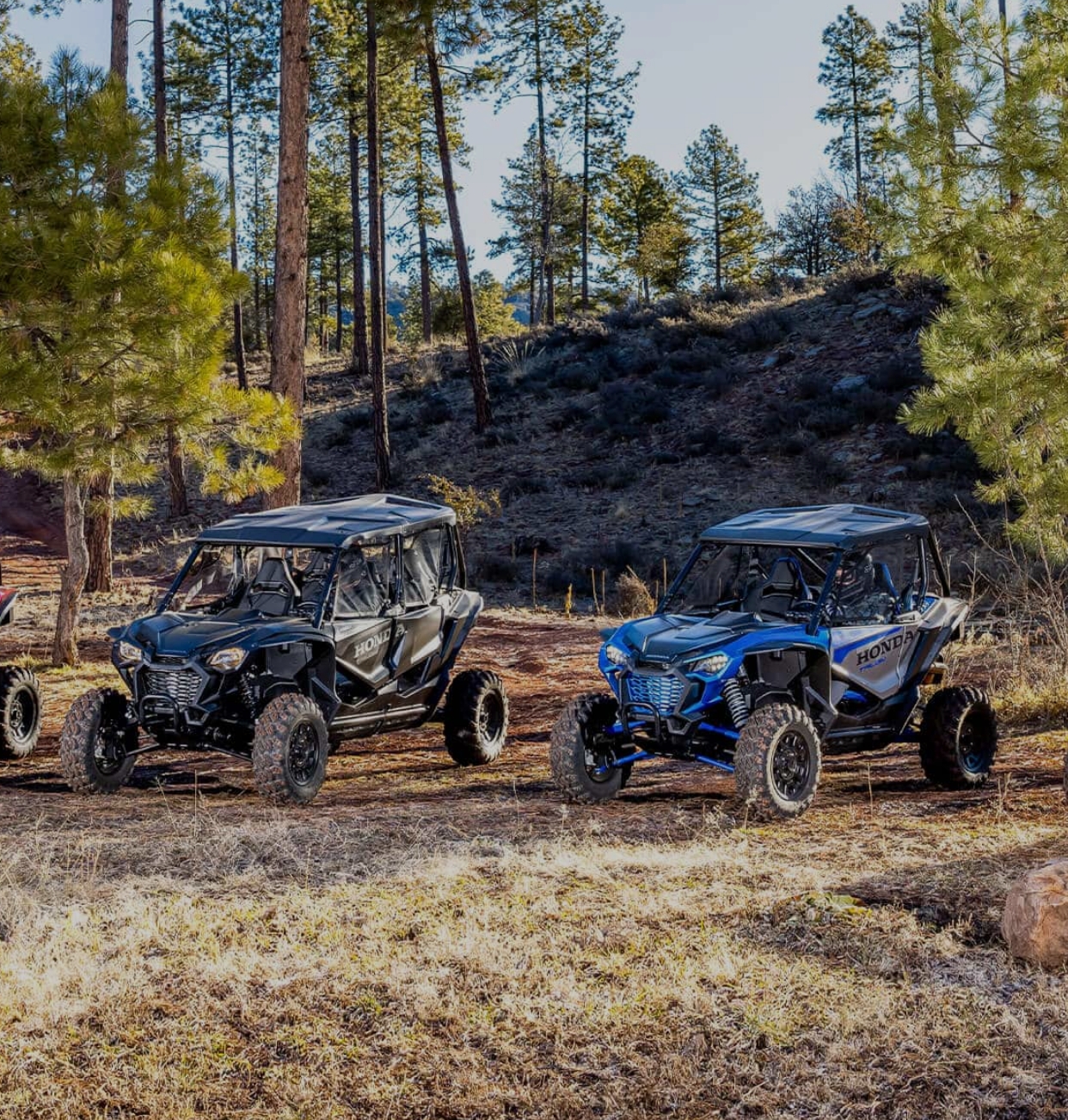 Home Parriott Motors Saint Helena, CA (707) 963-3190