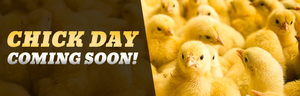 Home Pioneer Farm & Ranch Abilene, KS (785) 263-7163