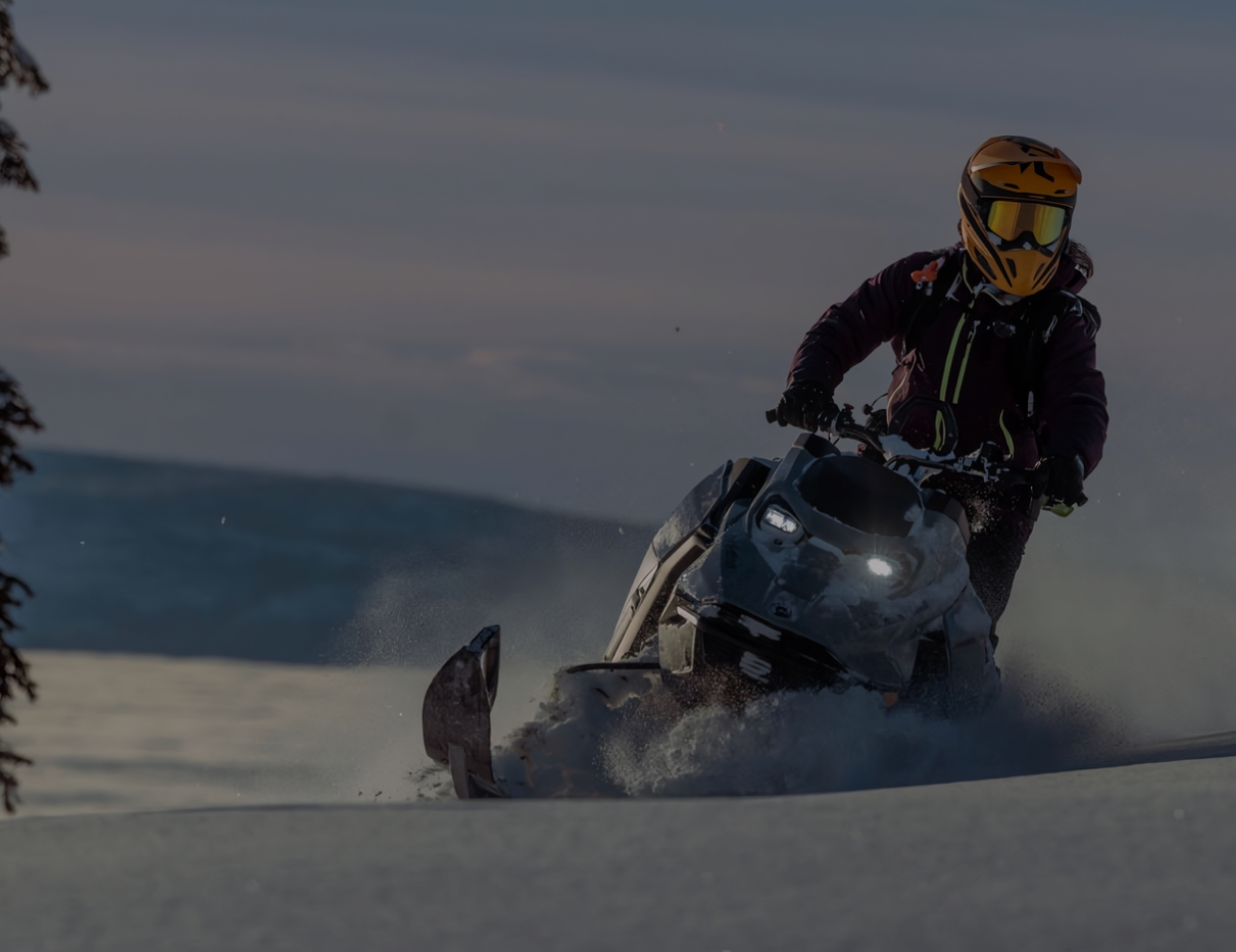 Home Riverside Honda & Ski-Doo St. Albert, AB 1-800-819-7433