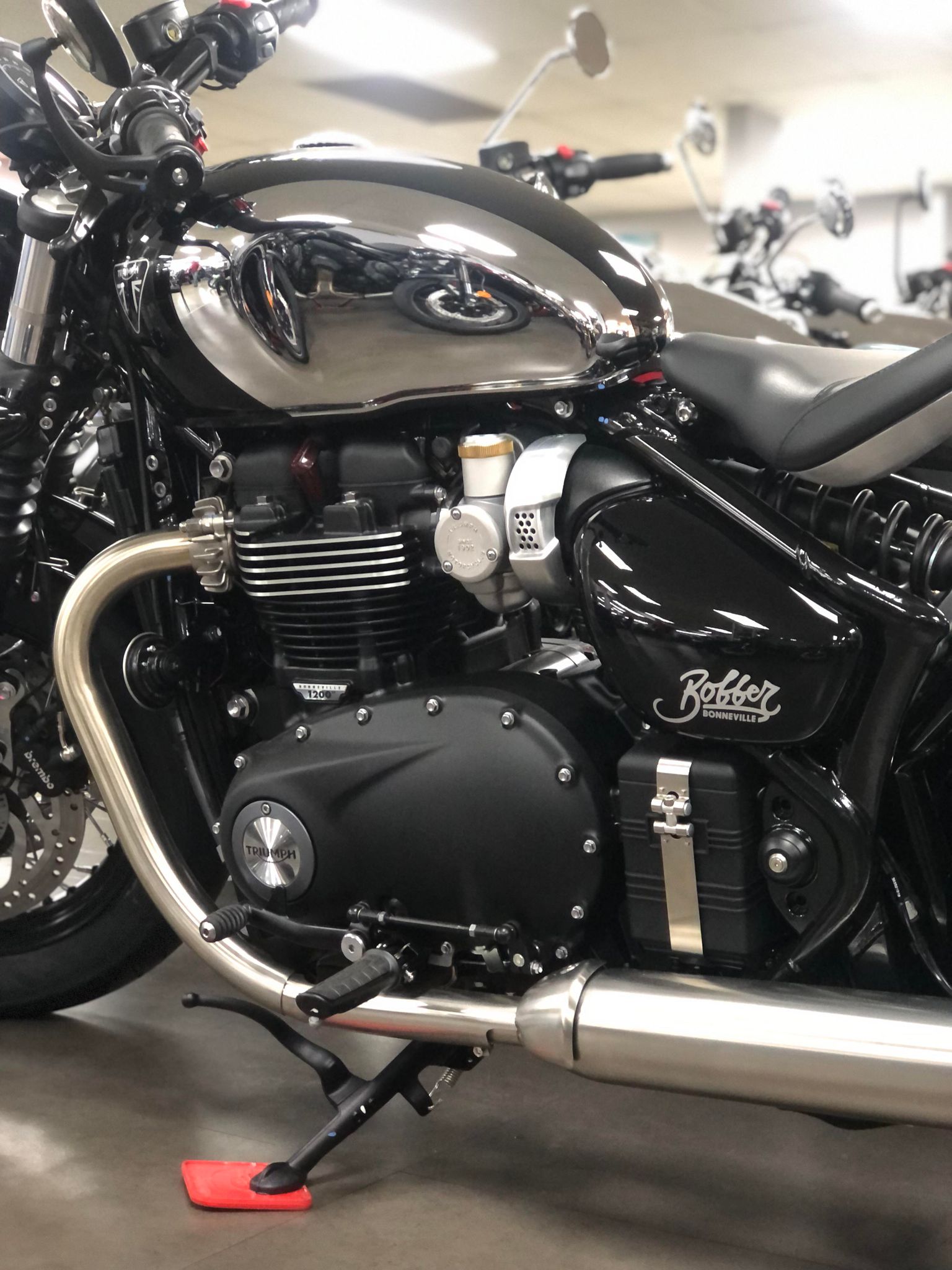 Triumph Inventory Results | Pete's Cycle - Baltimore & Severna Park