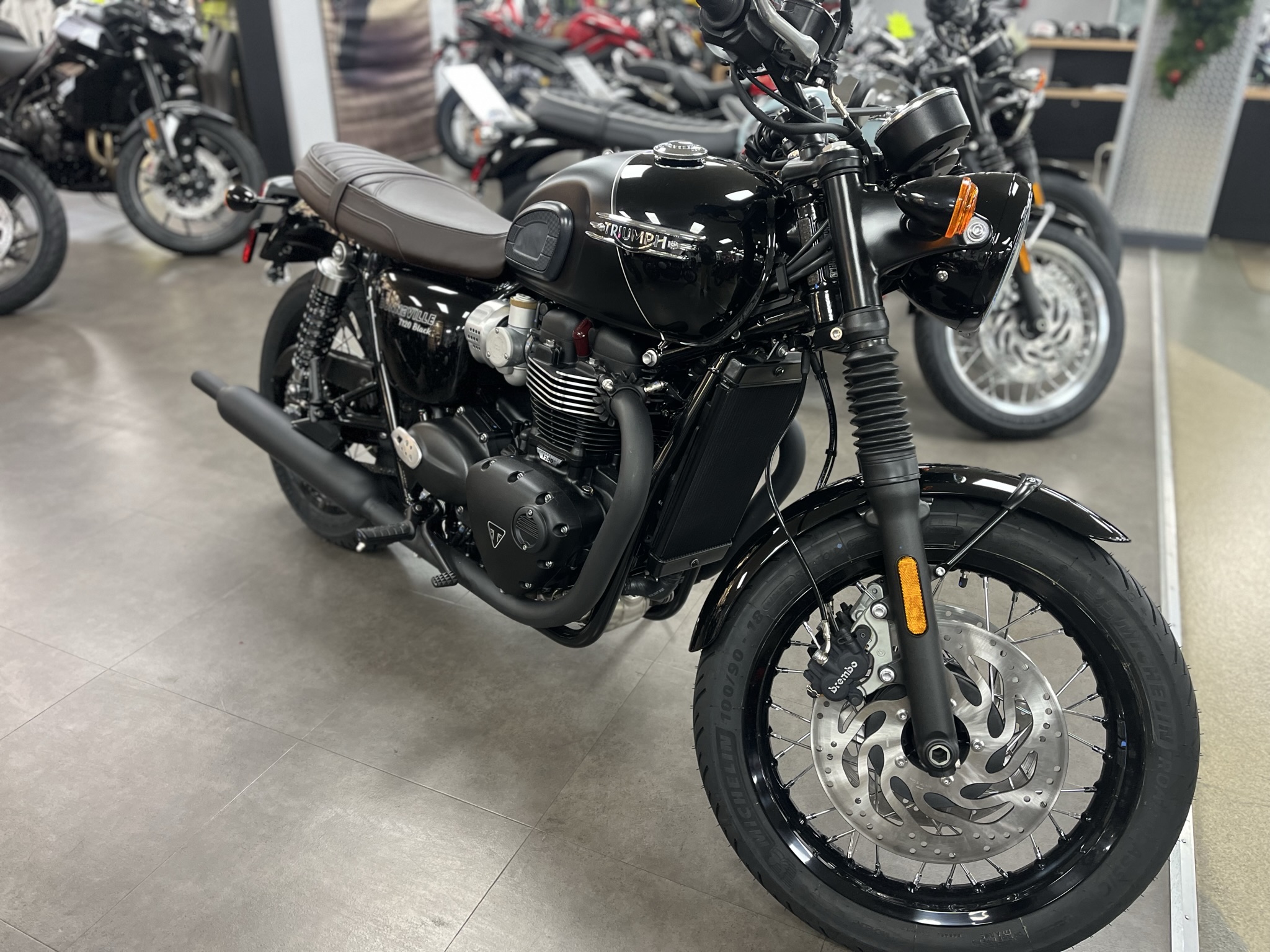 Triumph Inventory Results | Pete's Cycle - Baltimore & Severna Park