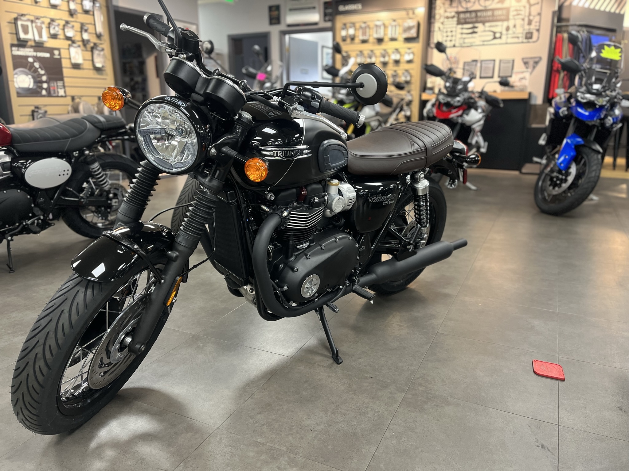 Triumph Inventory Results | Pete's Cycle - Baltimore & Severna Park