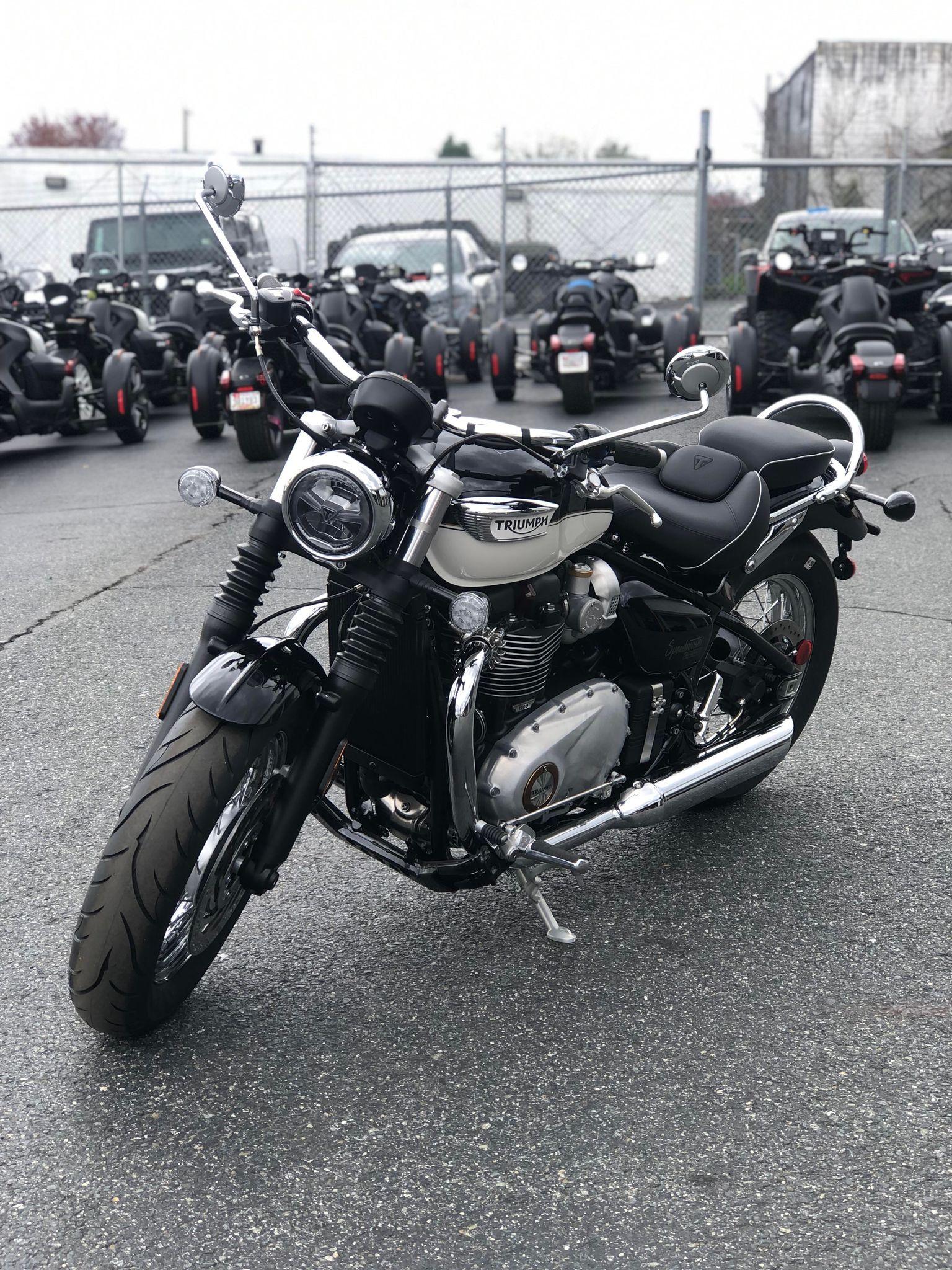 Triumph Inventory Results | Pete's Cycle - Baltimore & Severna Park