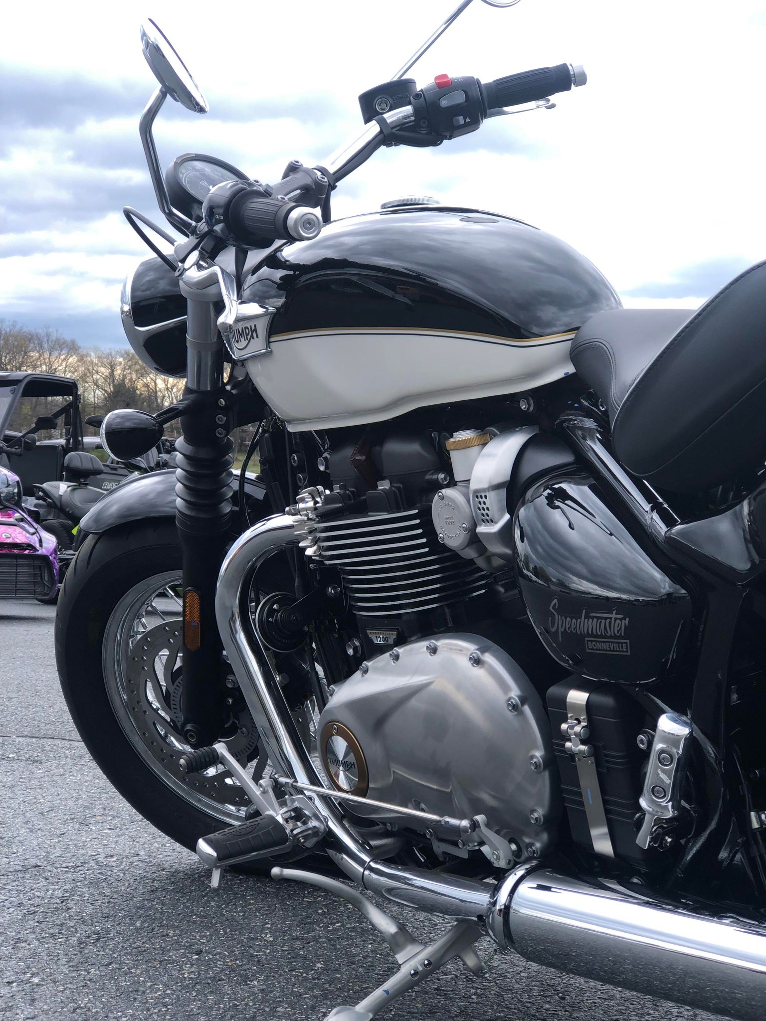 Triumph Inventory Results | Pete's Cycle - Baltimore & Severna Park