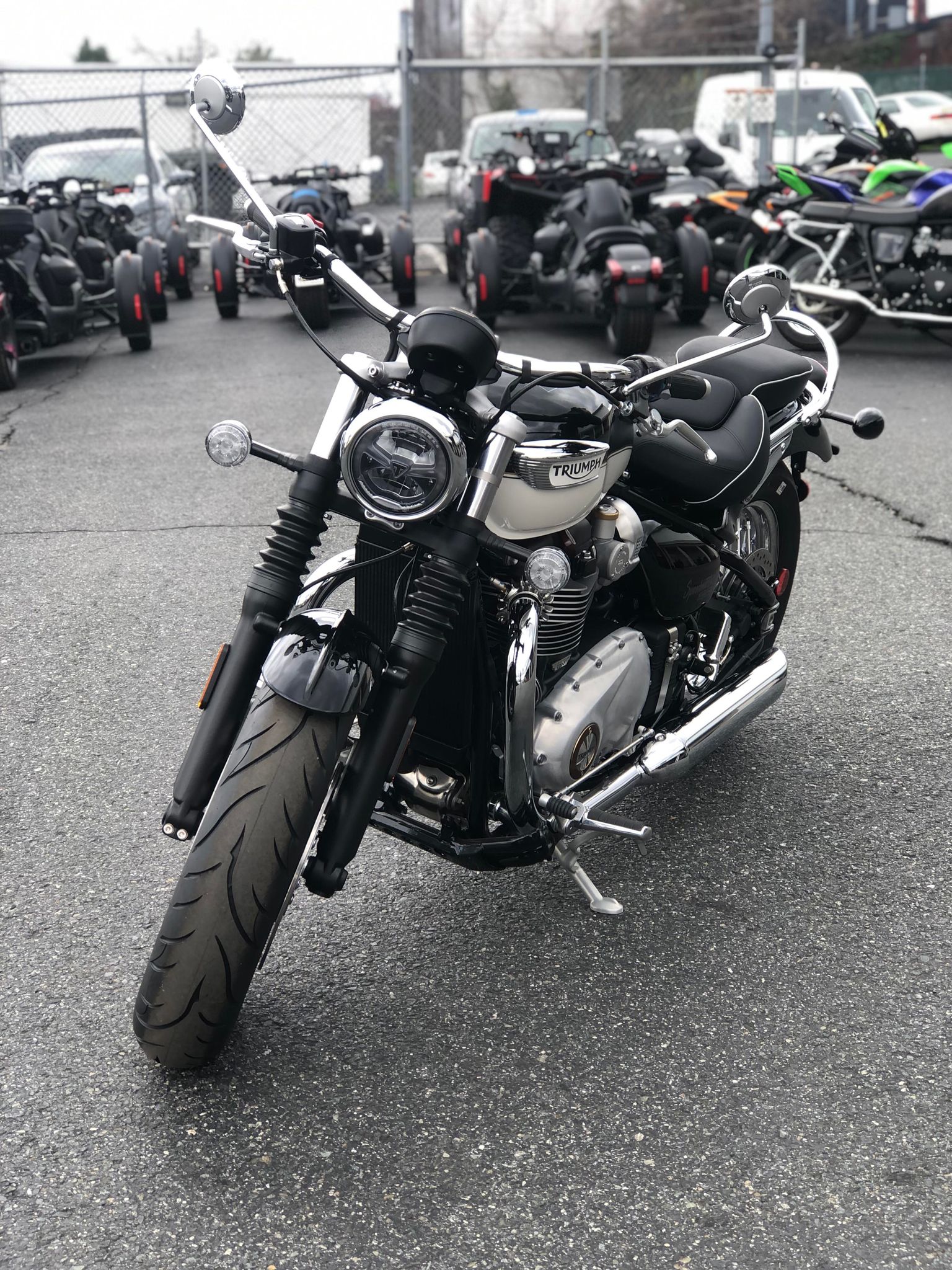 Triumph Inventory Results | Pete's Cycle - Baltimore & Severna Park