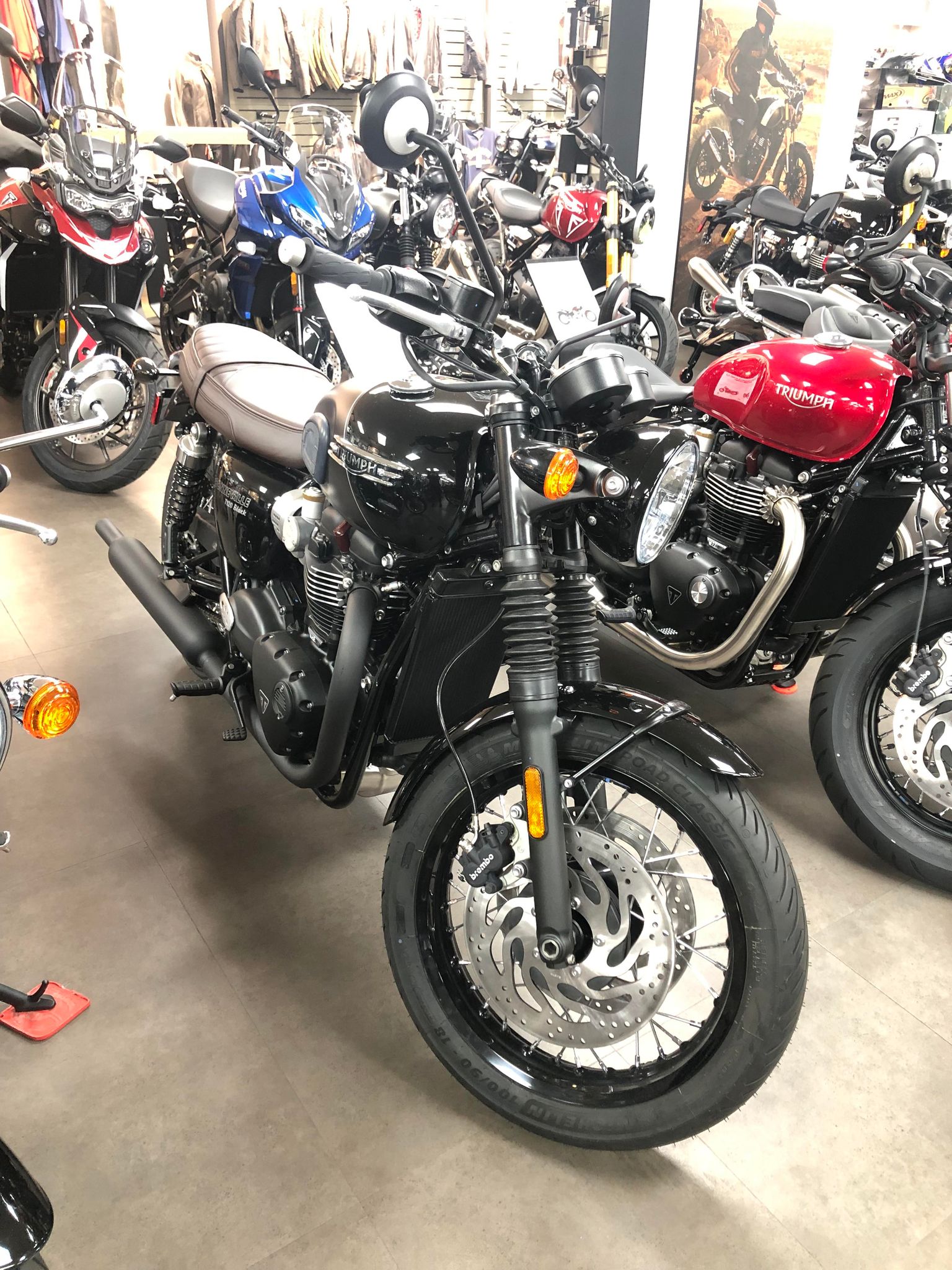 Triumph Inventory Results | Pete's Cycle - Baltimore & Severna Park