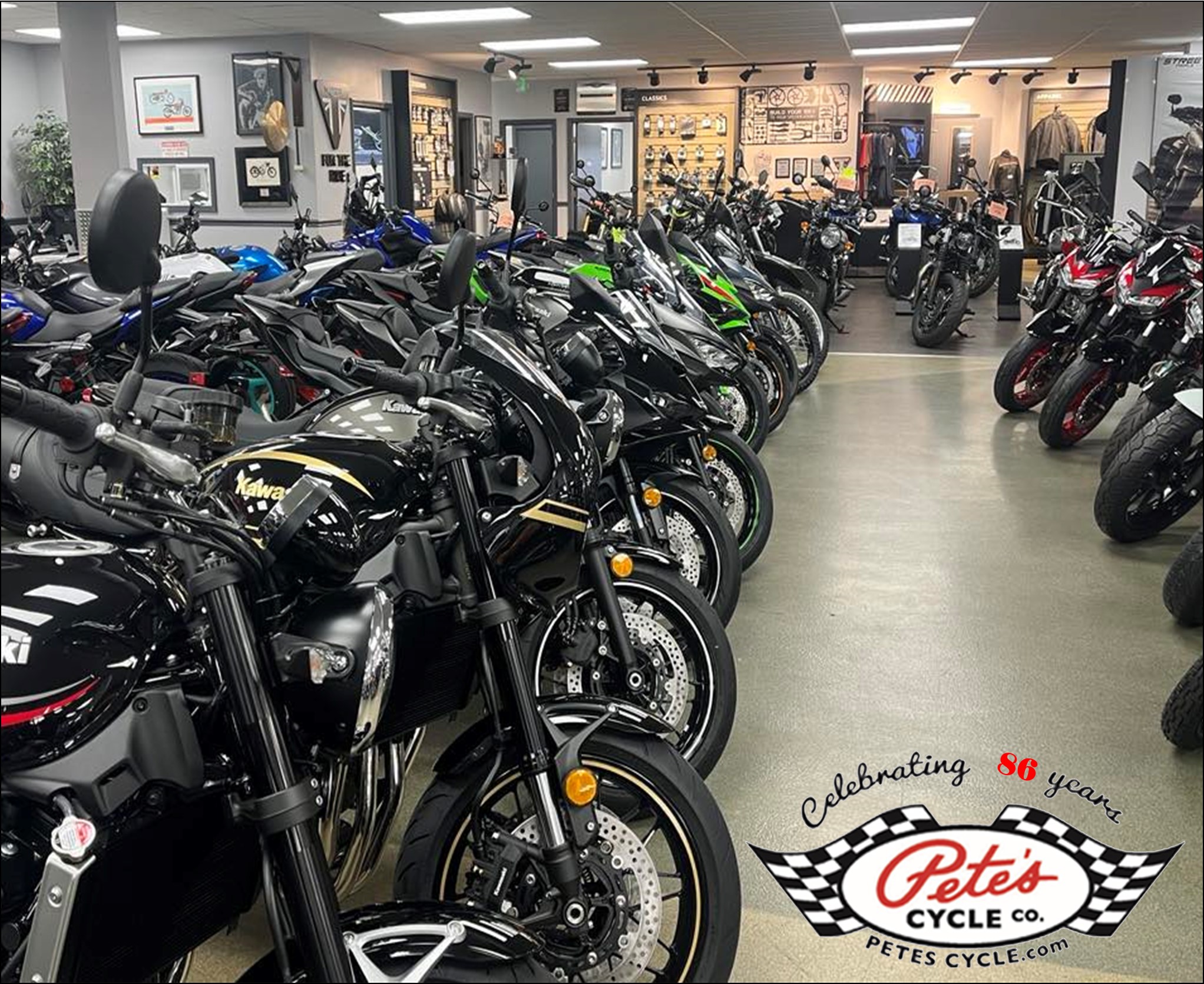 Triumph Inventory Results | Pete's Cycle - Baltimore & Severna Park