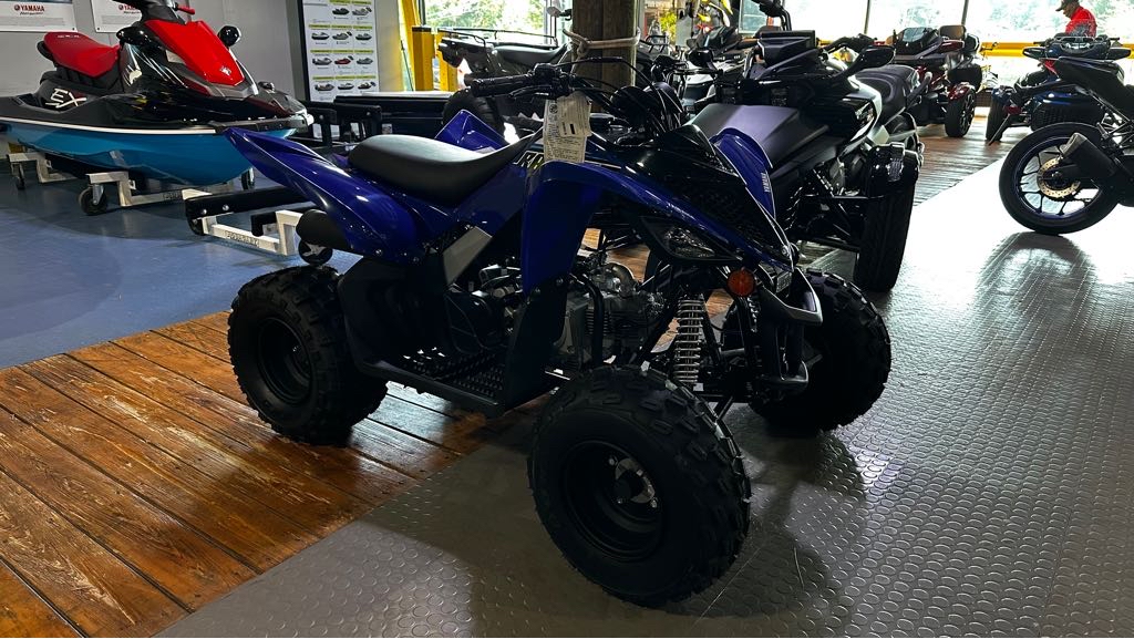 ATV Coleman PowerSports