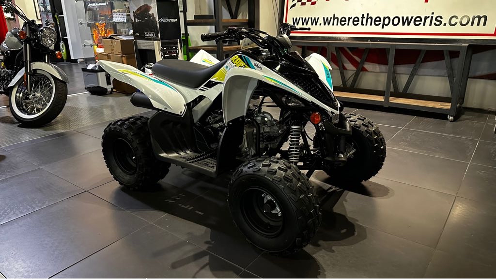 ATV Coleman PowerSports
