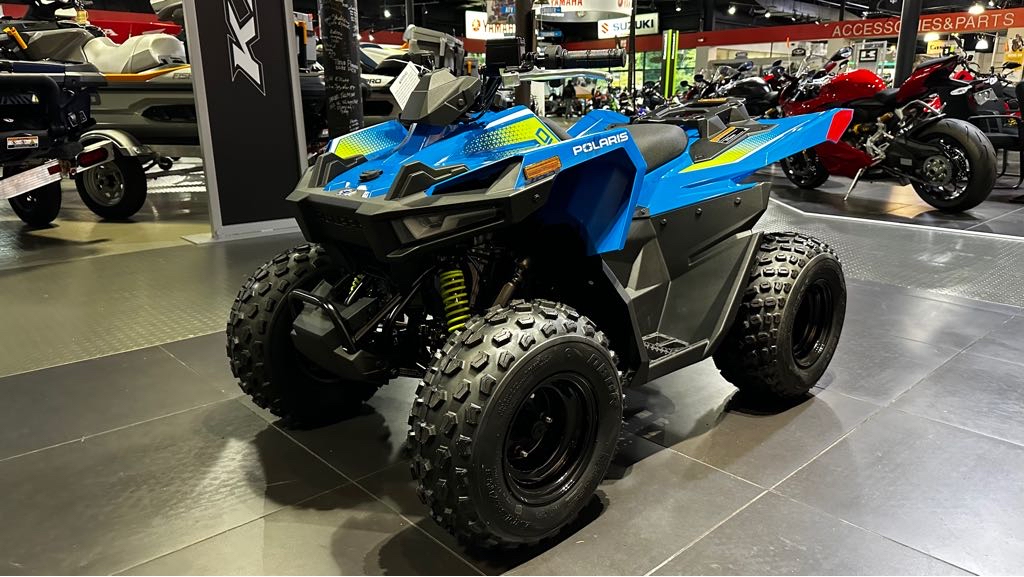 ATV Coleman PowerSports