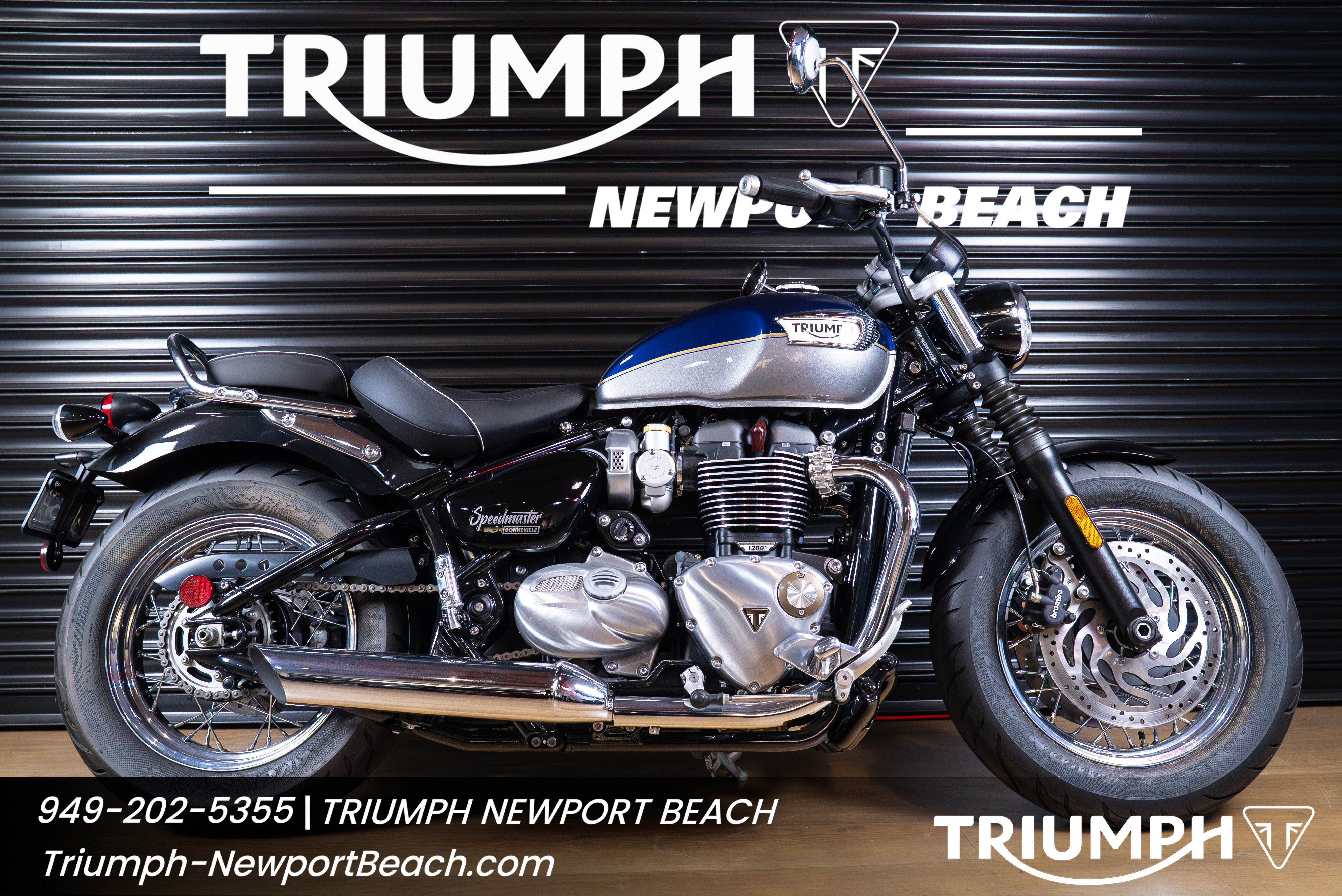Used 2024 Inventory from Mercedes-AMG and Triumph Triumph of Newport Beach