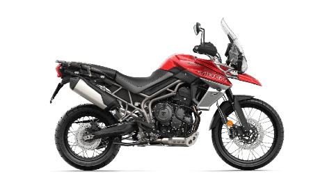 Home Tampa Triumph Tampa, FL (813) 523-4693