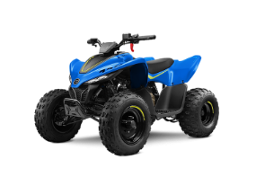 Home Southland Power Sports and Outdoor Power Lexington, TN (731) 249-5734