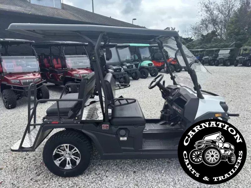 Used Golf Cart from Denago EV, EZ GO, Vitacci and Yamaha Carnation ...